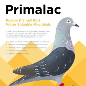 Pigeon Supplements Archives - Frazers