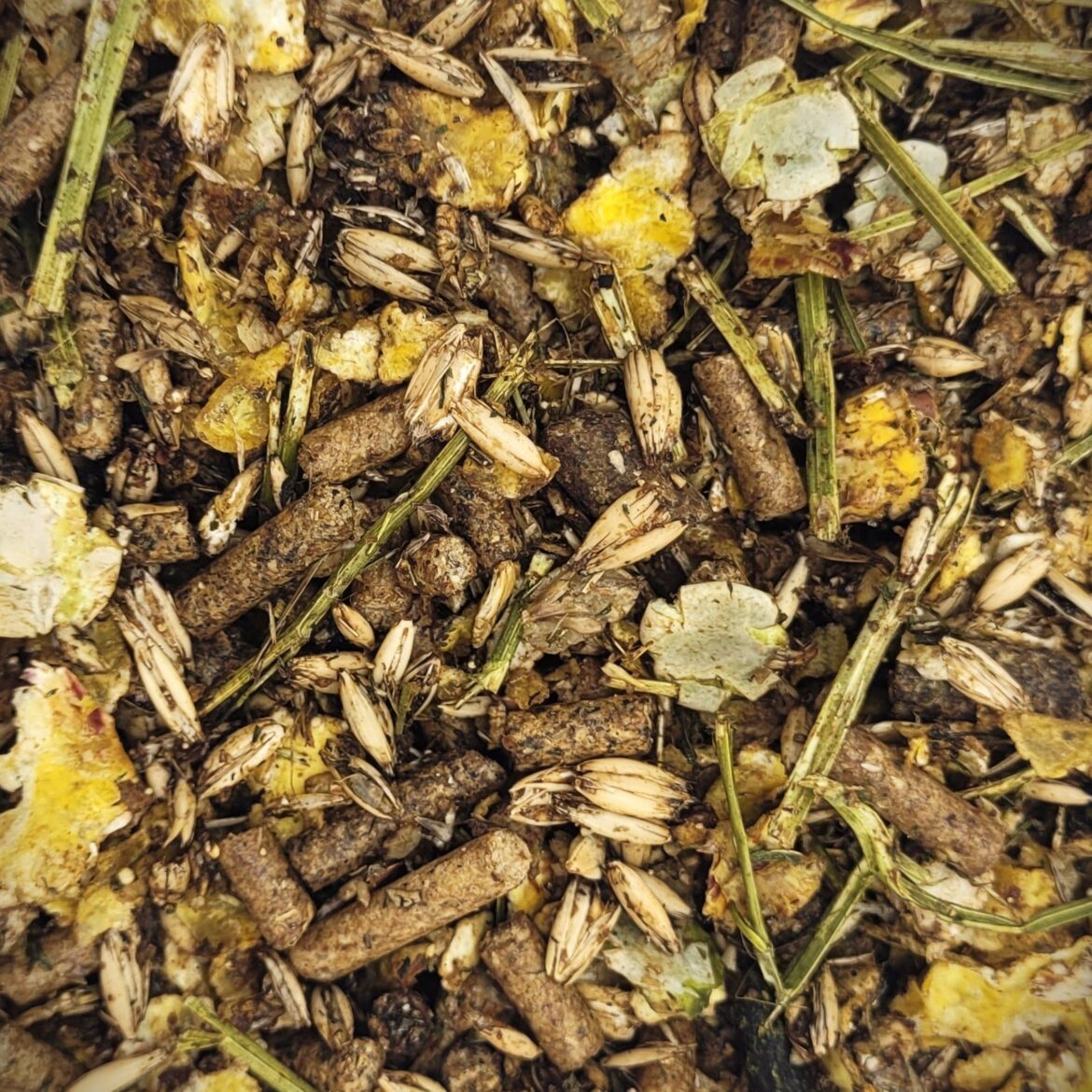 Frazers Horse Performance 14% Mix - The Frazers Group